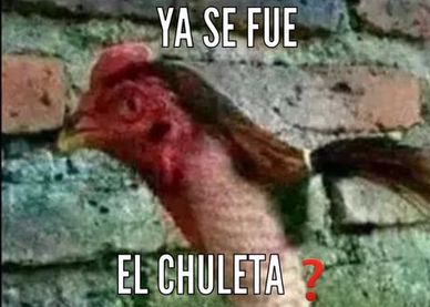 Los mejores memes del humillante 5-0 de Santos Laguna a Gallos Blancos ...