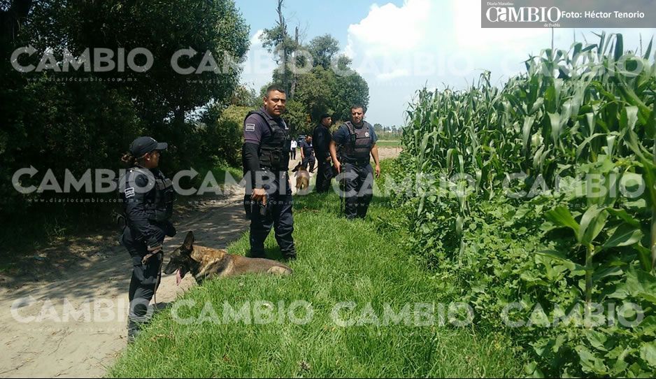 Policías Detienen A Dos Sujetos Que Intentaron Asaltar En La México Puebla