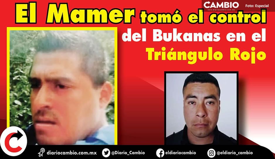 Perfil: El Mamer, el capo del terror en el Triángulo Rojo; tomó el ...