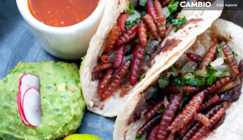De gusano y tarántula; entre los 7 tacos más exóticos de México