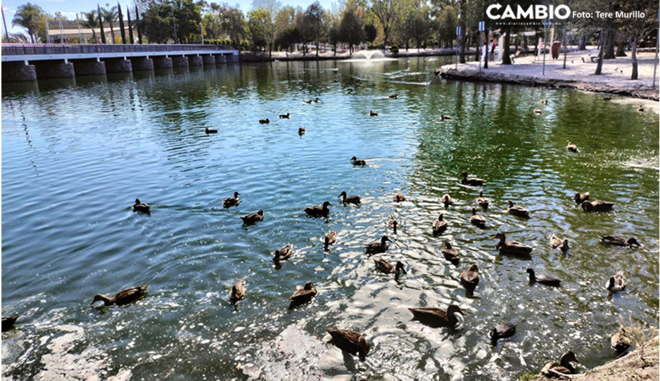FOTOS: Así quedó de impresionante el Parque Ecológico tras rehabilitación