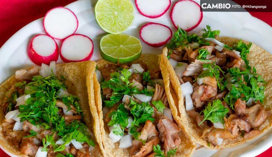 ¡Alta cocina! Carnitas y cochinita pibil son declarados los mejores ...
