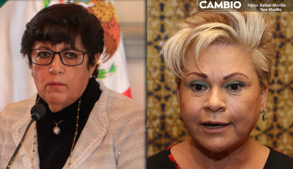 Tras licencia de Isabel Merlo, Silva Tanús llegará al Congreso y dejará ...