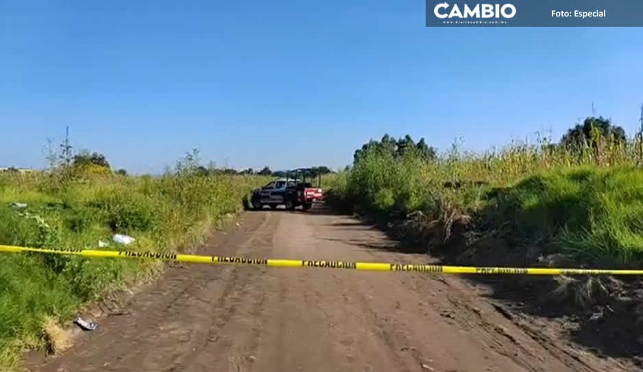 Hallan cadáver con signos de violencia en terrenos de cultivo de Coronango