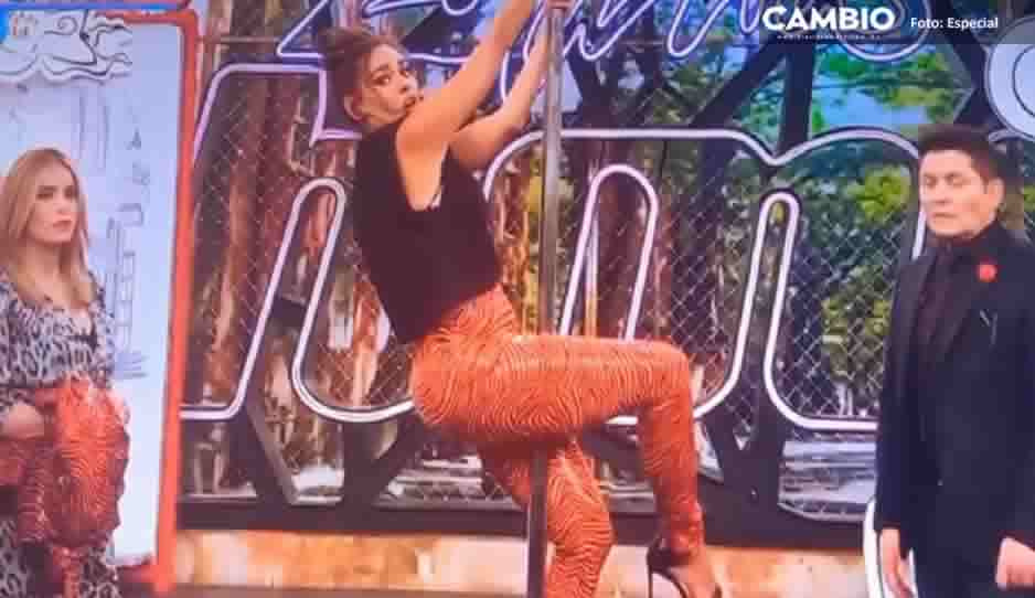 Galilea Montijo se sube al tubo y confiesa que sí le hubiera gustado ser teibolera (VIDEO)
