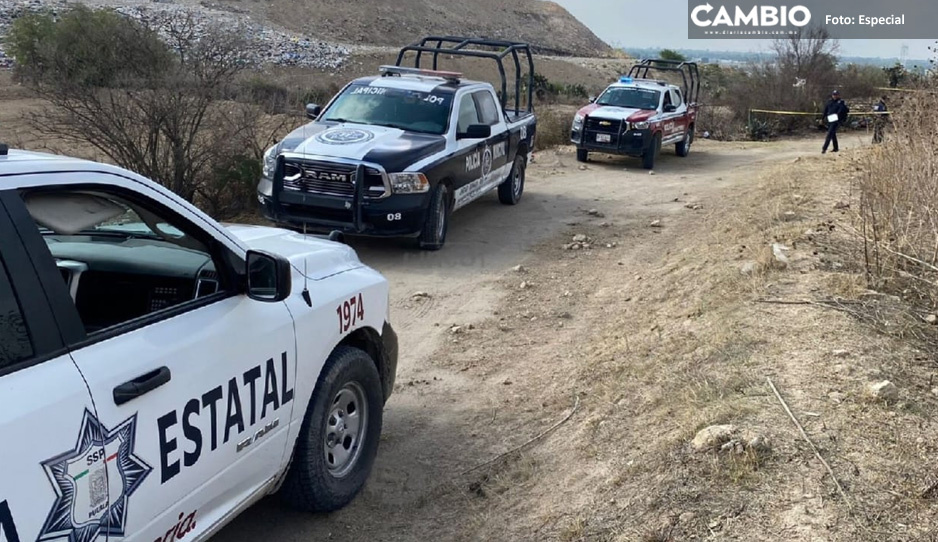 Hallan cadáver de hombre maniatado y carcomido por la fauna en Los ...